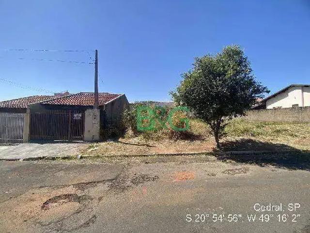 Terreno / Lote para Venda em Cedral/SP Jardim Galante