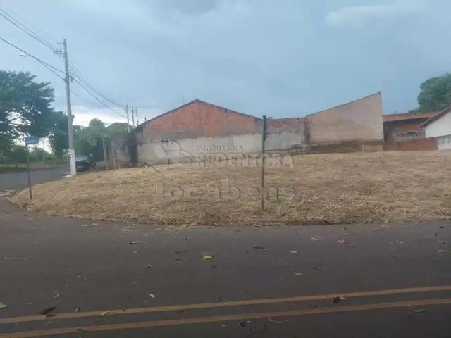 Terreno / Lote para Venda em Cedral/SP Portal Do Cedro