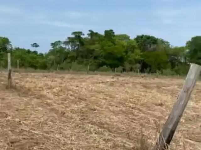Terreno / Lote para Venda em Cesário Lange/SP Zona Rural