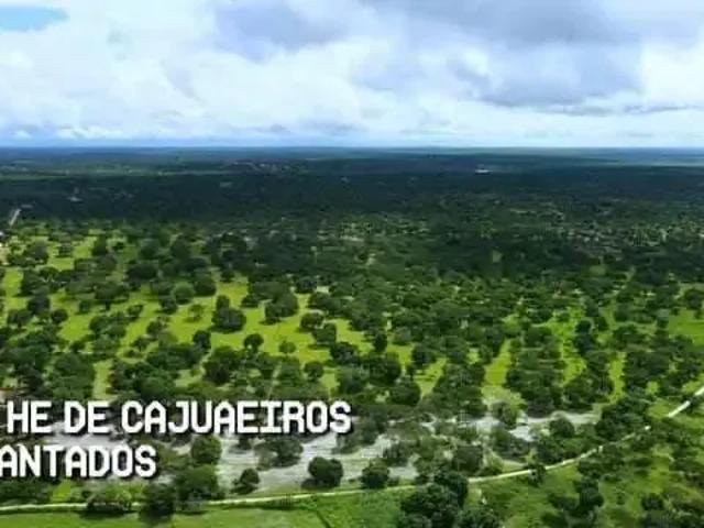 Terreno / Lote para Venda em Chorozinho/CE Patos dos Liberatos