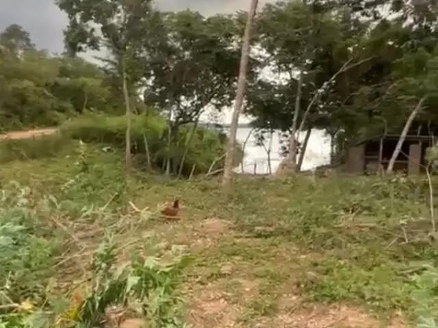 Terreno / Lote para Venda em Chapada dos Guimarães/MT Lago do Manso