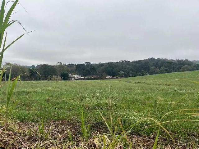 Terreno / Lote para Venda em Chapecó/SC Campestre