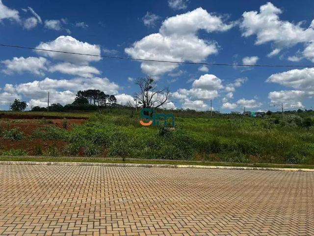 Terreno / Lote para Venda em Chapecó/SC Água Santa