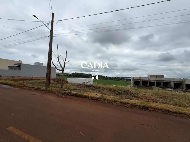 Terreno / Lote para Venda em Chapecó/SC Araras