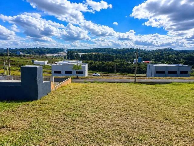 Terreno / Lote para Venda em Chapecó/SC Araras