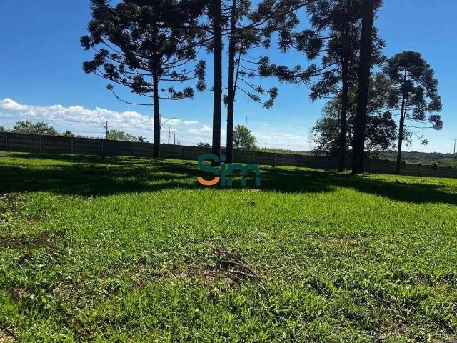 Terreno / Lote para Venda em Chapecó/SC Área Rural de Chapecó