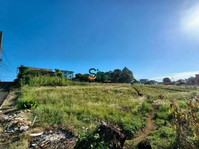 Terreno / Lote para Venda em Chapecó/SC Belvedere