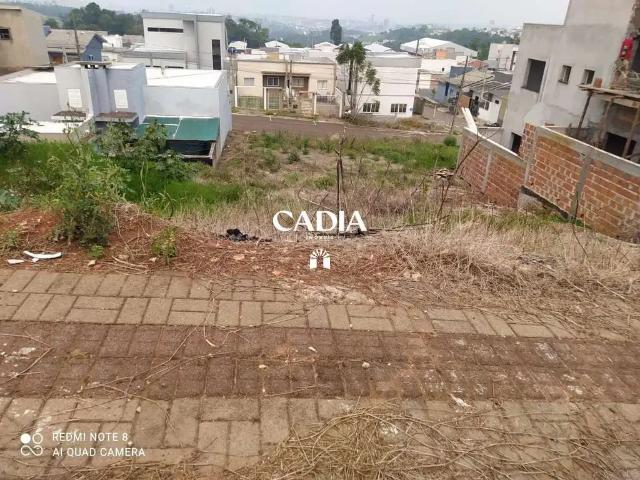 Terreno / Lote para Venda em Chapecó/SC Desbravador