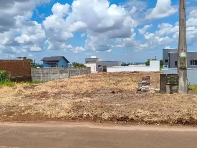 Terreno / Lote para Venda em Chapecó/SC Desbravador