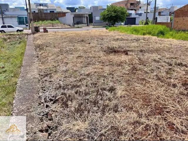 Terreno / Lote para Venda em Chapecó/SC Desbravador