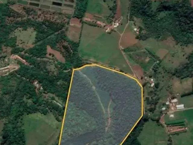 Terreno / Lote para Venda em Chapecó/SC Interior