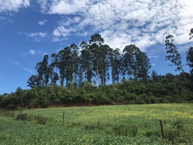 Terreno / Lote para Venda em Chapecó/SC Interior