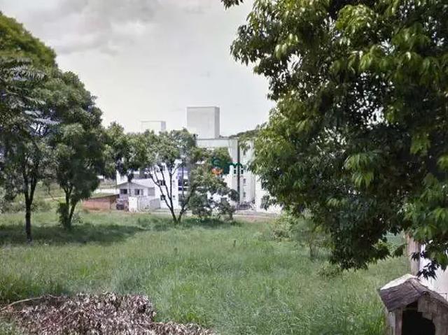 Terreno / Lote para Venda em Chapecó/SC Maria Goretti