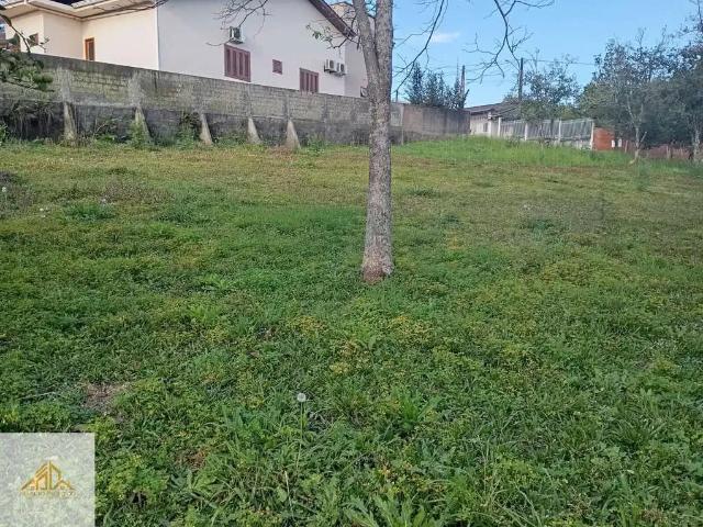 Terreno / Lote para Venda em Chapecó/SC São Lucas