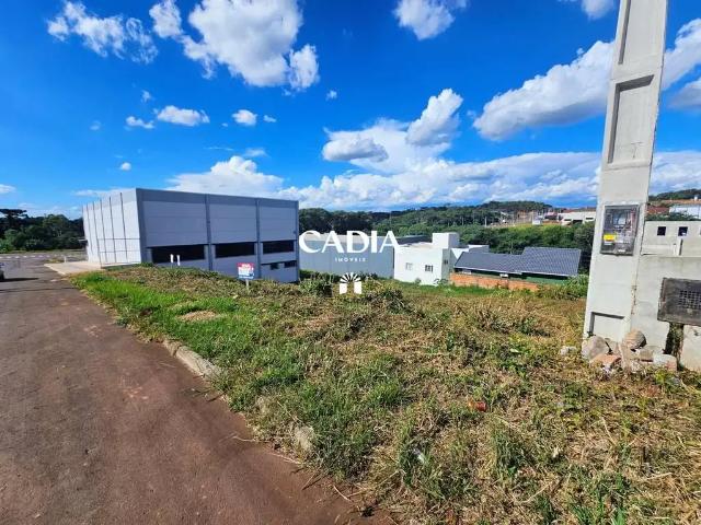 Terreno / Lote para Venda em Chapecó/SC Santos Dumont
