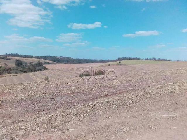 Terreno / Lote para Venda em Charqueada/SP Santa Luzia