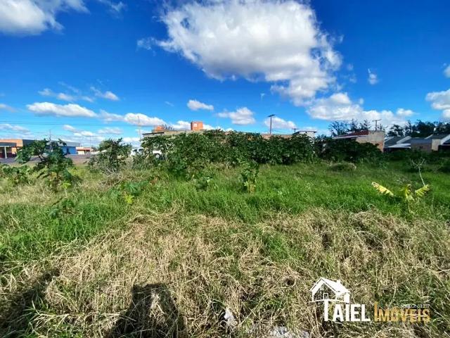 Terreno / Lote para Venda em Cidreira/RS Salinas