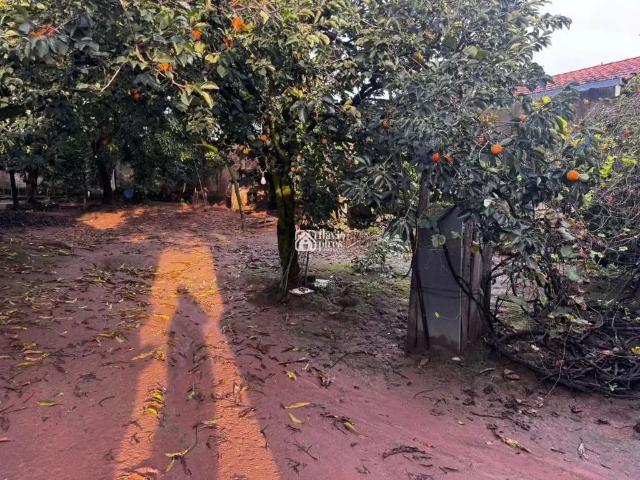 Terreno / Lote para Venda em Contagem/MG Novo Progresso