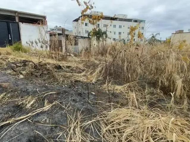 Terreno / Lote para Venda em Contagem/MG Arvoredo 2ª Seção