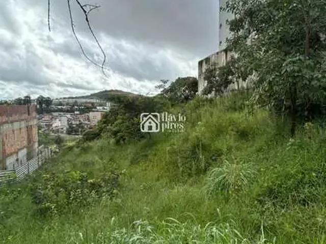 Terreno / Lote para Venda em Contagem/MG Cabral
