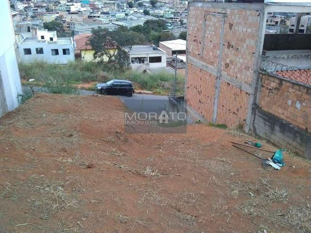 Terreno / Lote para Venda em Contagem/MG Cabral