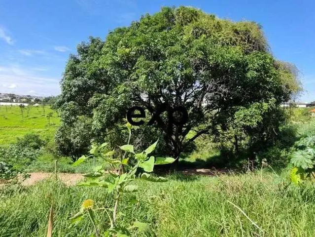 Terreno / Lote para Venda em Contagem/MG Feijão Miúdo