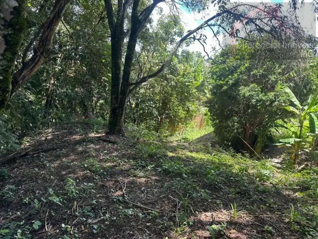Terreno / Lote para Venda em Contagem/MG Retiro