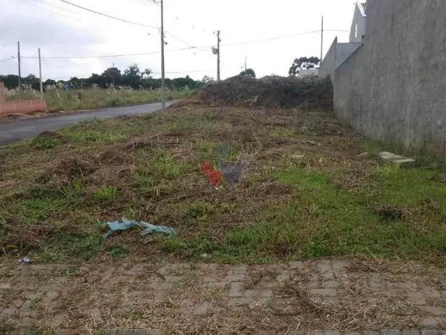 Terreno / Lote para Venda em Contenda/PR Centro