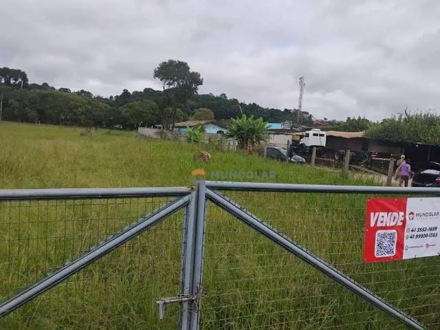 Terreno / Lote para Venda em Contenda/PR Centro