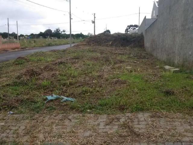 Terreno / Lote para Venda em Contenda/PR Centro