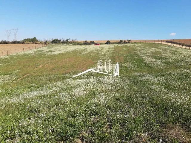 Terreno / Lote para Venda em Contenda/PR Centro