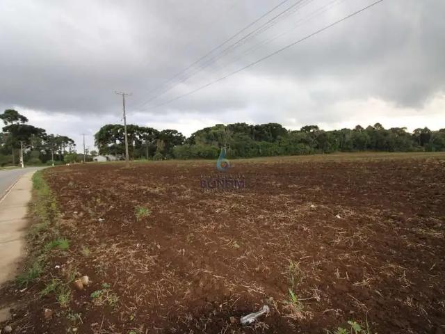 Terreno / Lote para Venda em Contenda/PR São João