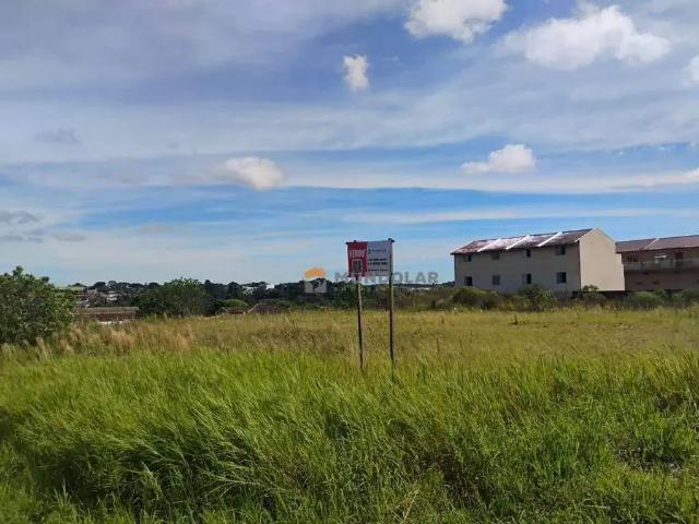Terreno / Lote para Venda em Contenda/PR Zona Rural