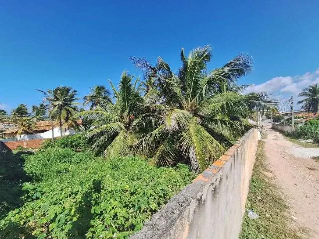 Terreno / Lote para Venda em Conde/BA Sítio do Conde