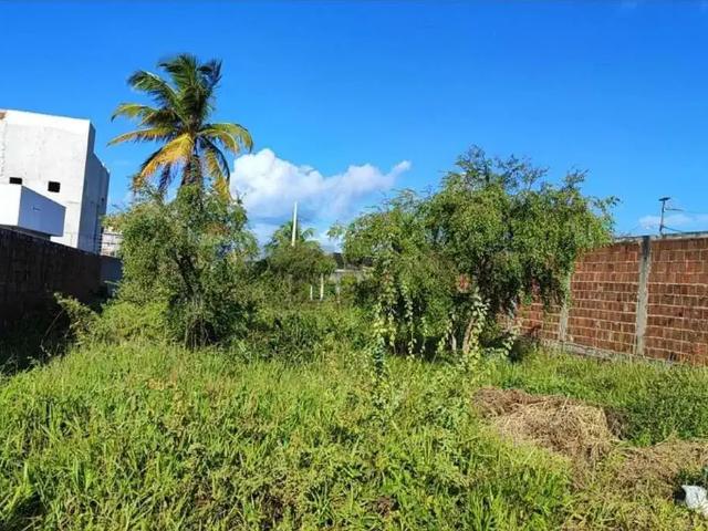 Terreno / Lote para Venda em Conde/PB Carapibus