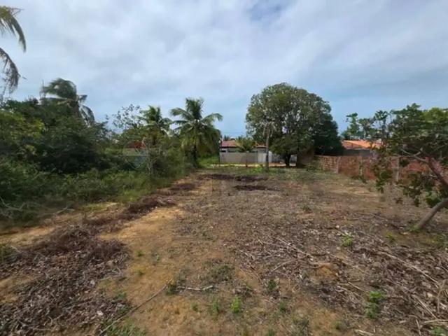 Terreno / Lote para Venda em Conde/PB Carapibus