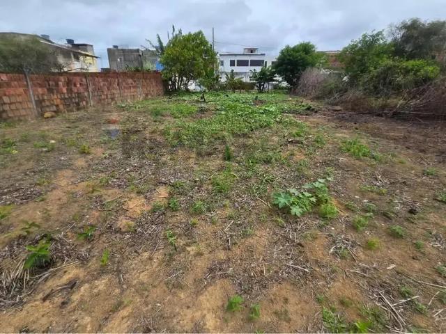 Terreno / Lote para Venda em Conde/PB Carapibus