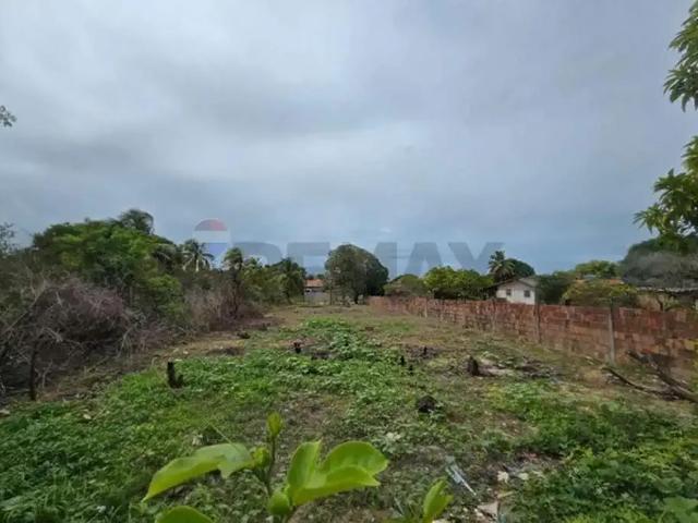 Terreno / Lote para Venda em Conde/PB Carapibus
