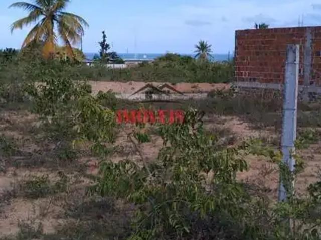 Terreno / Lote para Venda em Conde/PB Carapibus