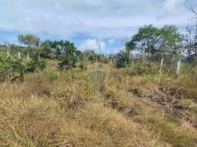 Terreno / Lote para Venda em Conde/PB Cidade Balneária Novo Mundo I