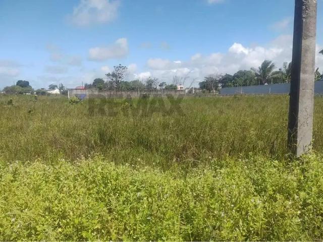 Terreno / Lote para Venda em Conde/PB Praia do Amor