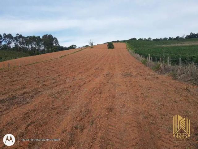 Terreno / Lote para Venda em Congonhal/MG Zona Rural