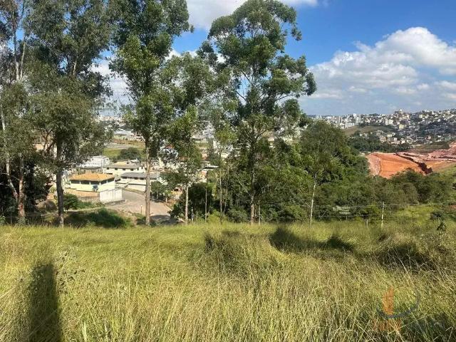 Terreno / Lote para Venda em Conselheiro Lafaiete/MG Monte Cristo