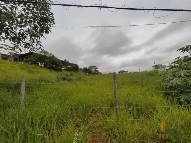Terreno / Lote para Venda em Conselheiro Lafaiete/MG Amaro Ribeiro