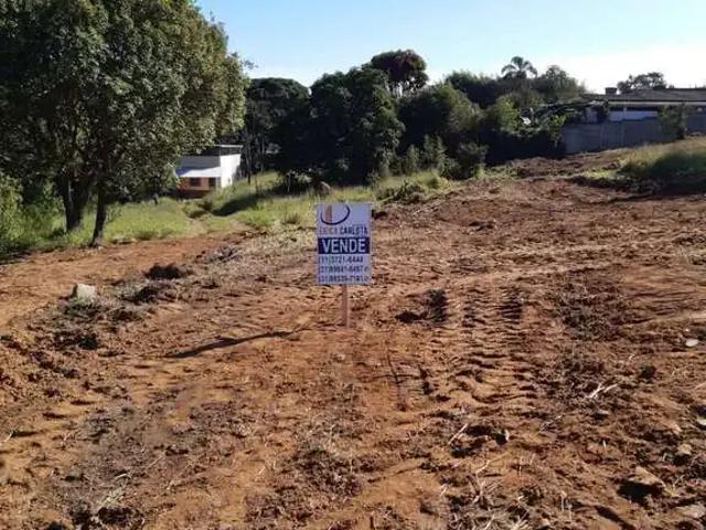 Terreno / Lote para Venda em Conselheiro Lafaiete/MG Amaro Ribeiro