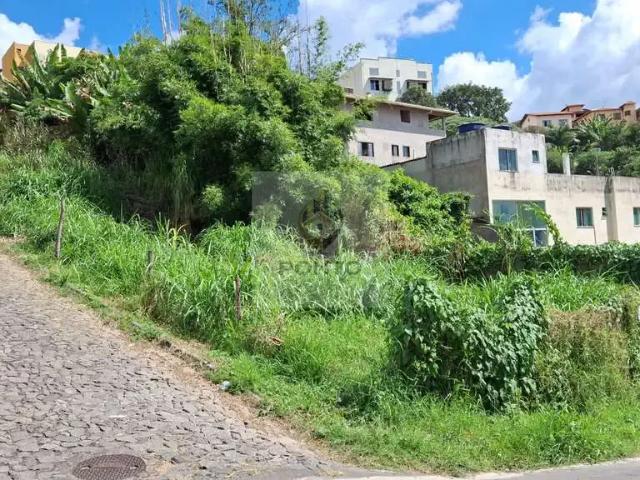Terreno / Lote para Venda em Conselheiro Lafaiete/MG Angélica