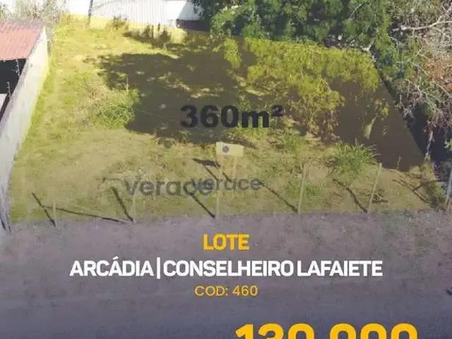 Terreno / Lote para Venda em Conselheiro Lafaiete/MG Arcádia