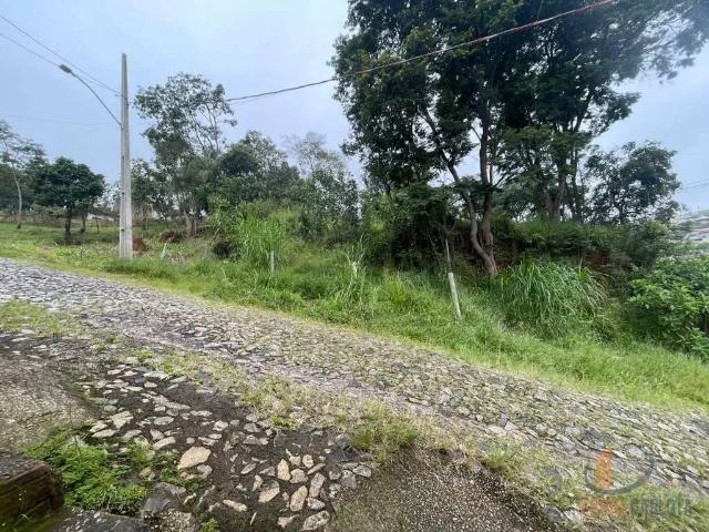 Terreno / Lote para Venda em Conselheiro Lafaiete/MG Lima Dias