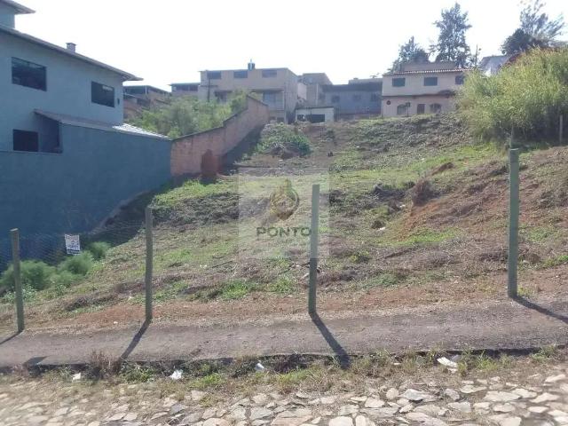 Terreno / Lote para Venda em Conselheiro Lafaiete/MG Paulo VI