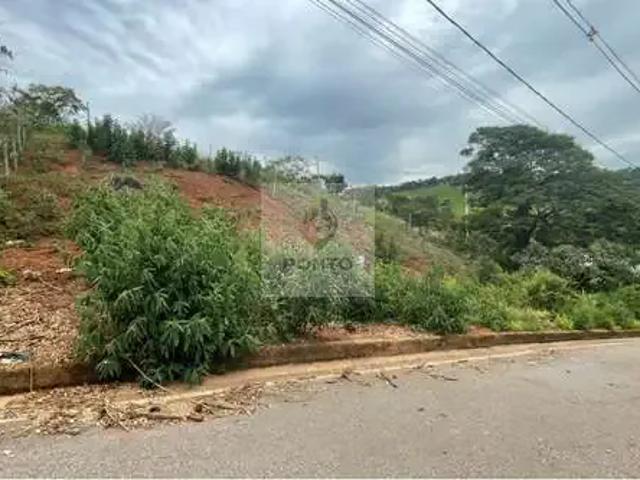 Terreno / Lote para Venda em Conselheiro Lafaiete/MG São Lucas